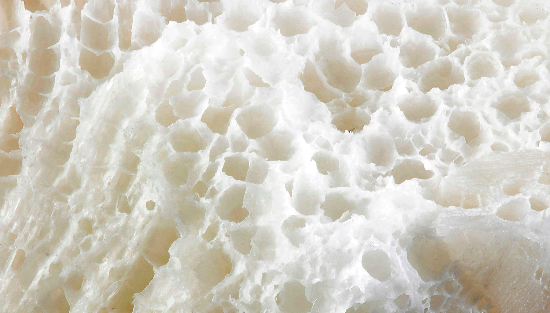 Biomaterials - IDL Dental Technologies LTD